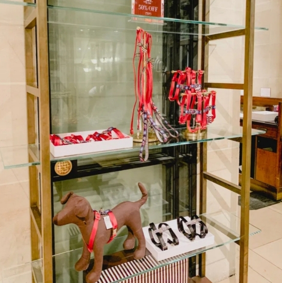 henri bendel | Accessories | Henri Bendel Pink Coral Dog Collar Xss ...